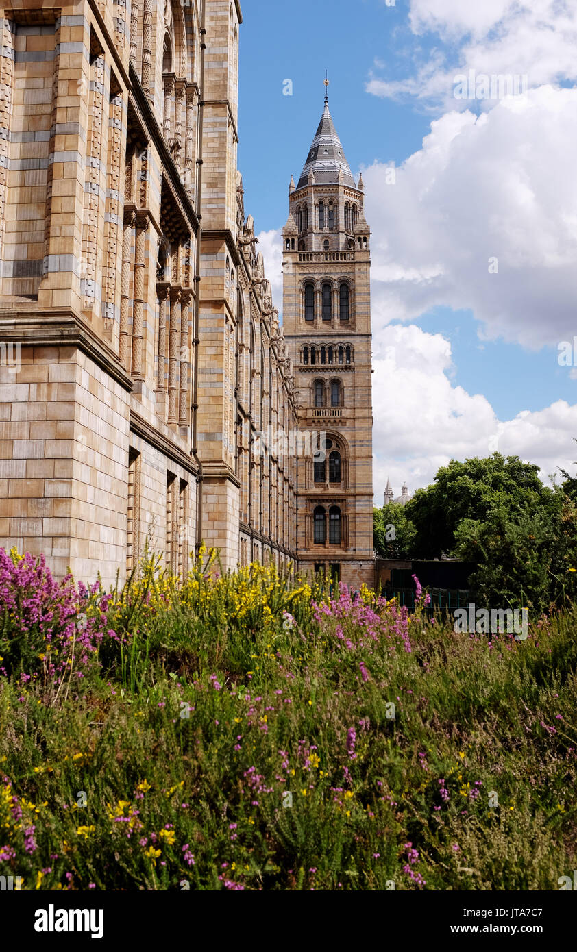 London UK - The National History Museum Photograph taken by Simon Dack ...