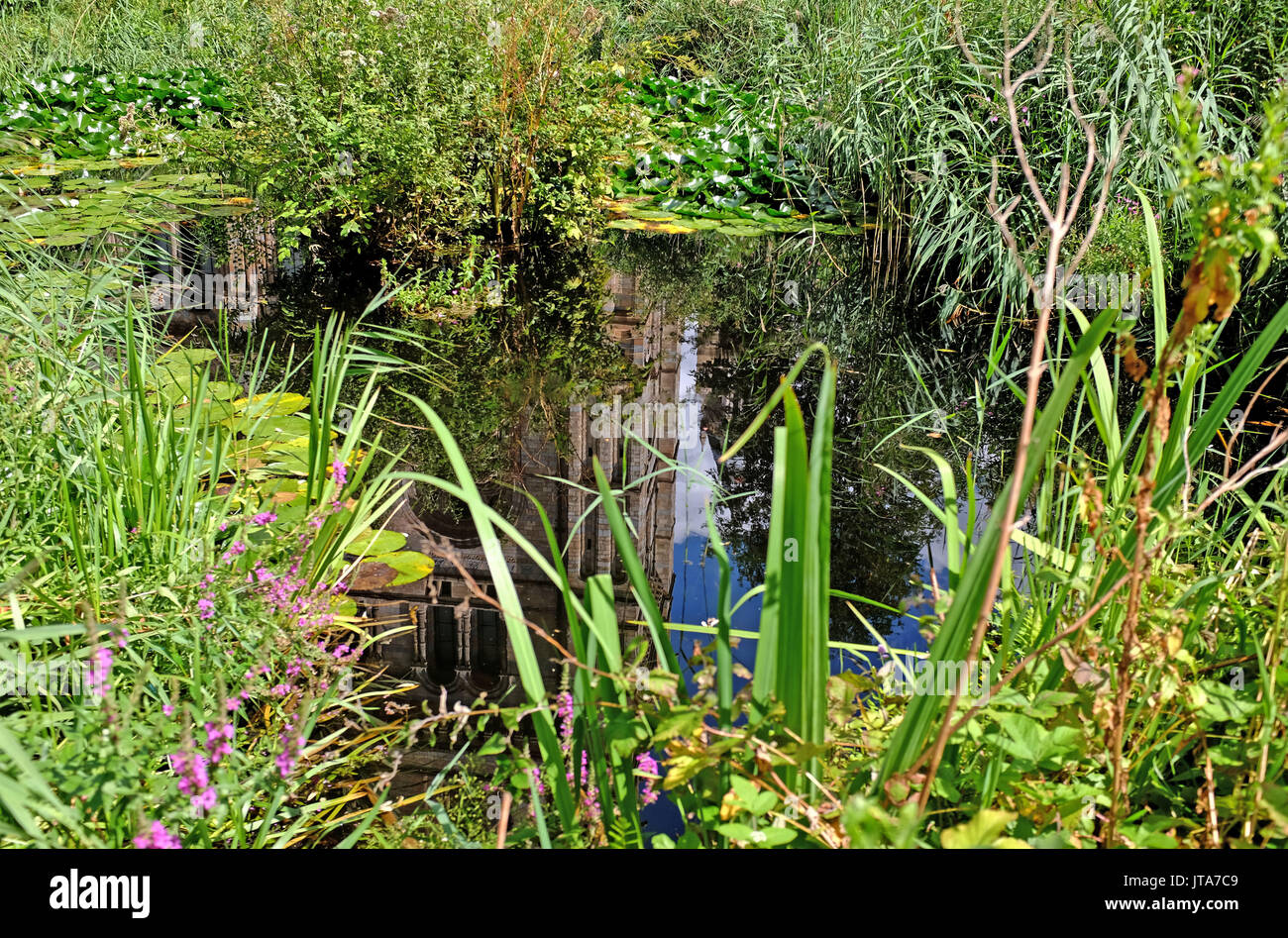 London UK - The National History Museum wildlife garden pond and trail ...
