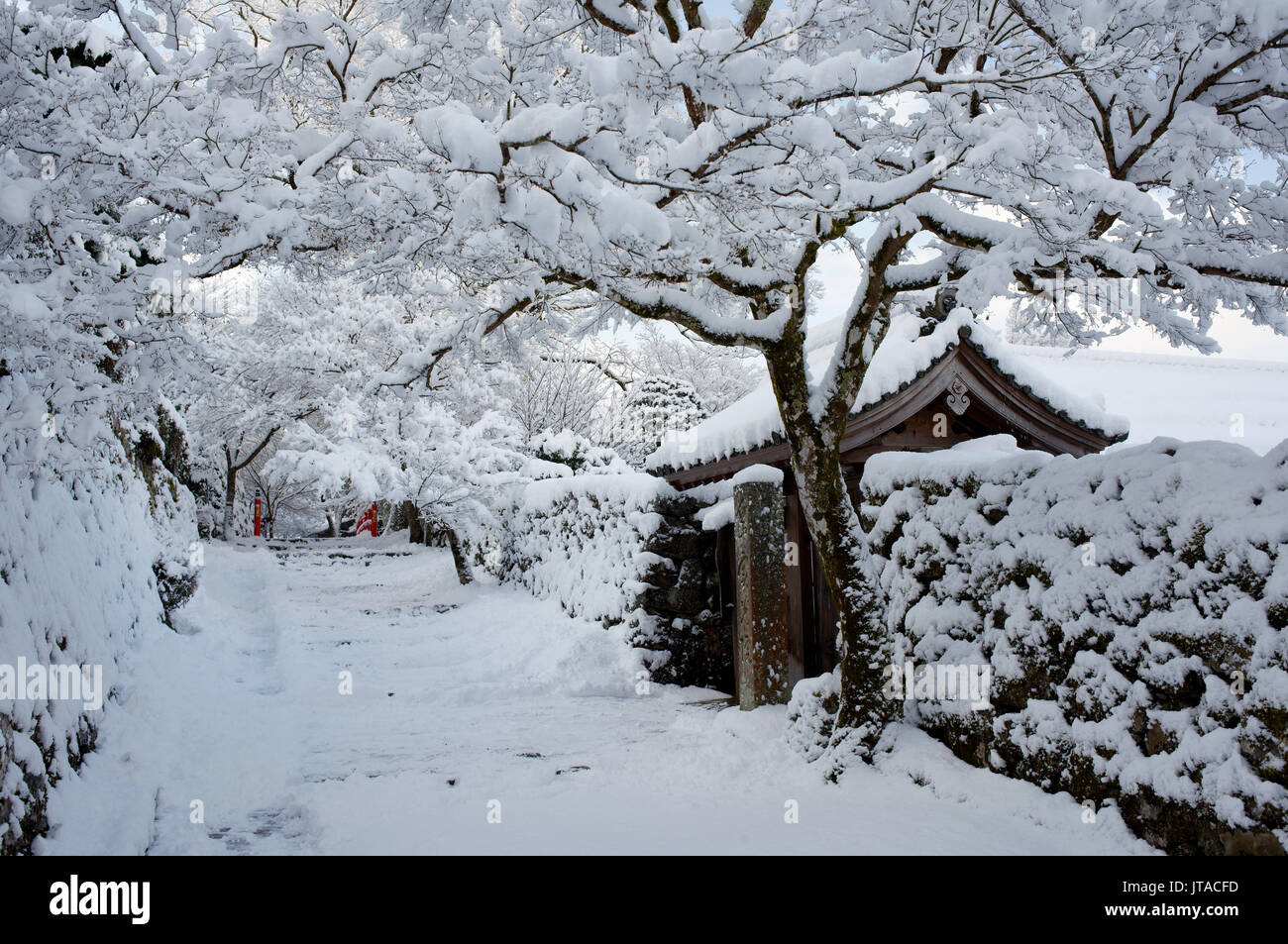 Fresh snow on Jikko-in Temple entrance, Ohara valley, Kyoto, Japan ...