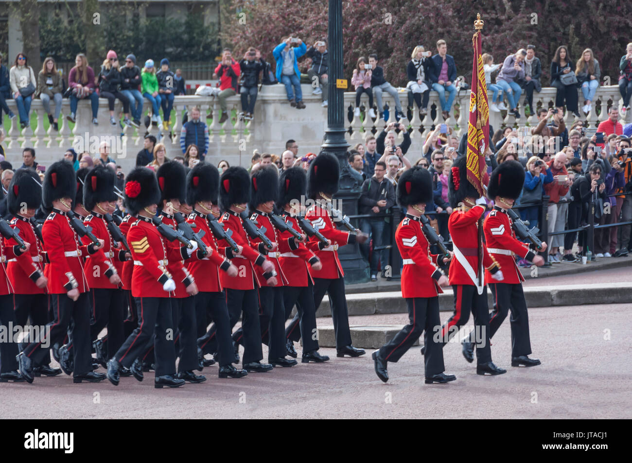 Coldstream guards uniform hi-res stock photography and images - Alamy