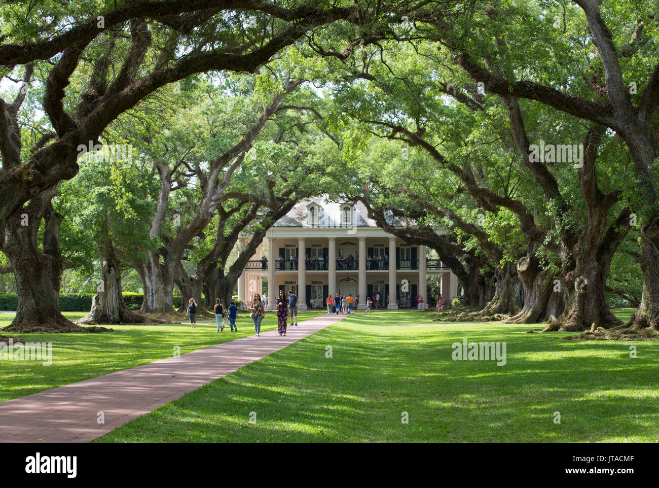 The 300 Year Old Oak Trees, Oak Alley Plantation, built 1830s, near St ...