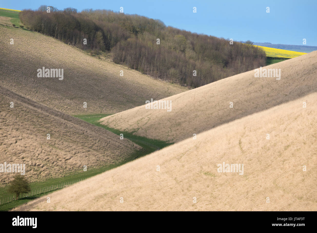 East riding yorkshire wolds hi-res stock photography and images - Alamy