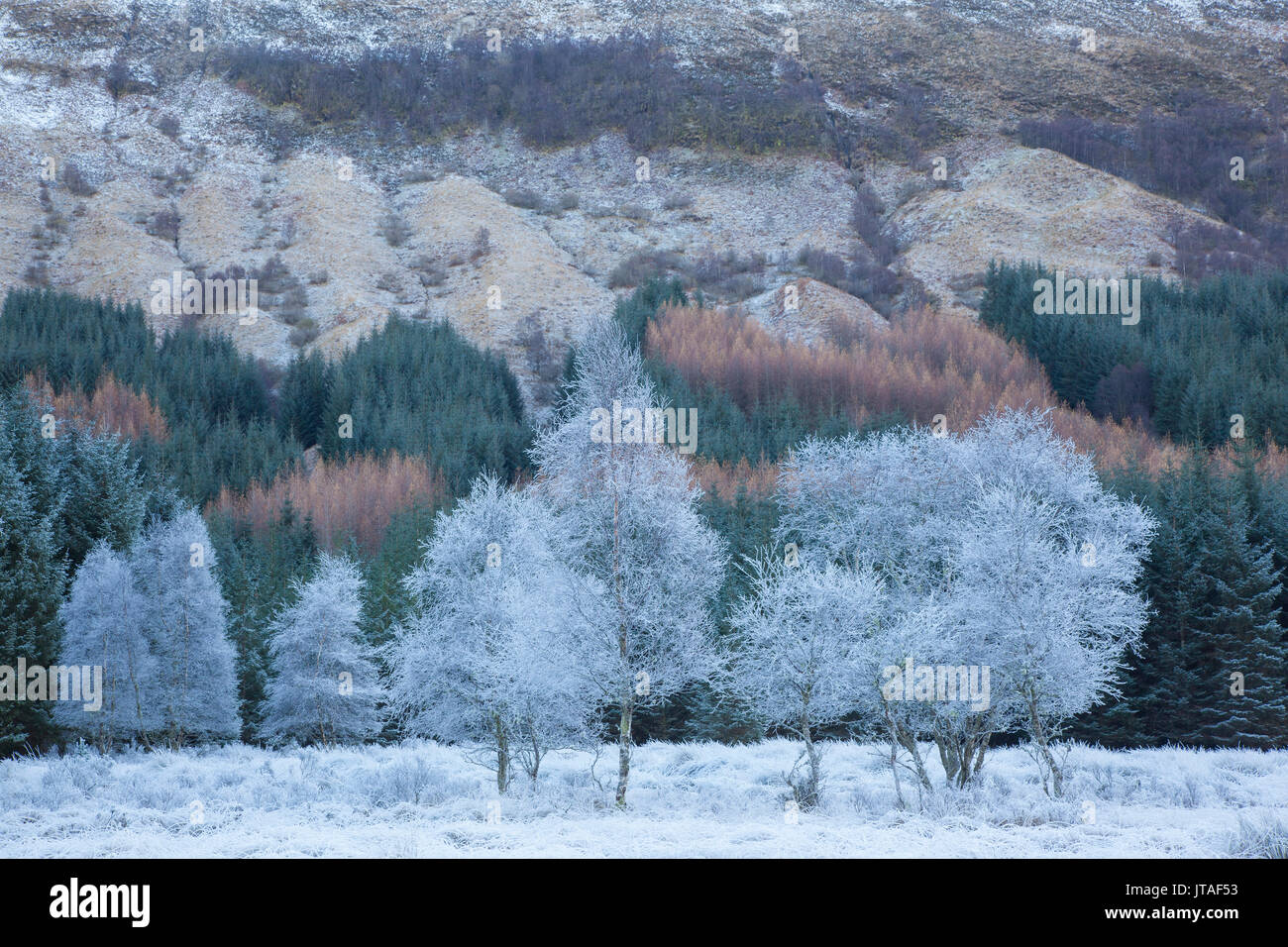 Glen orchy hi-res stock photography and images - Alamy