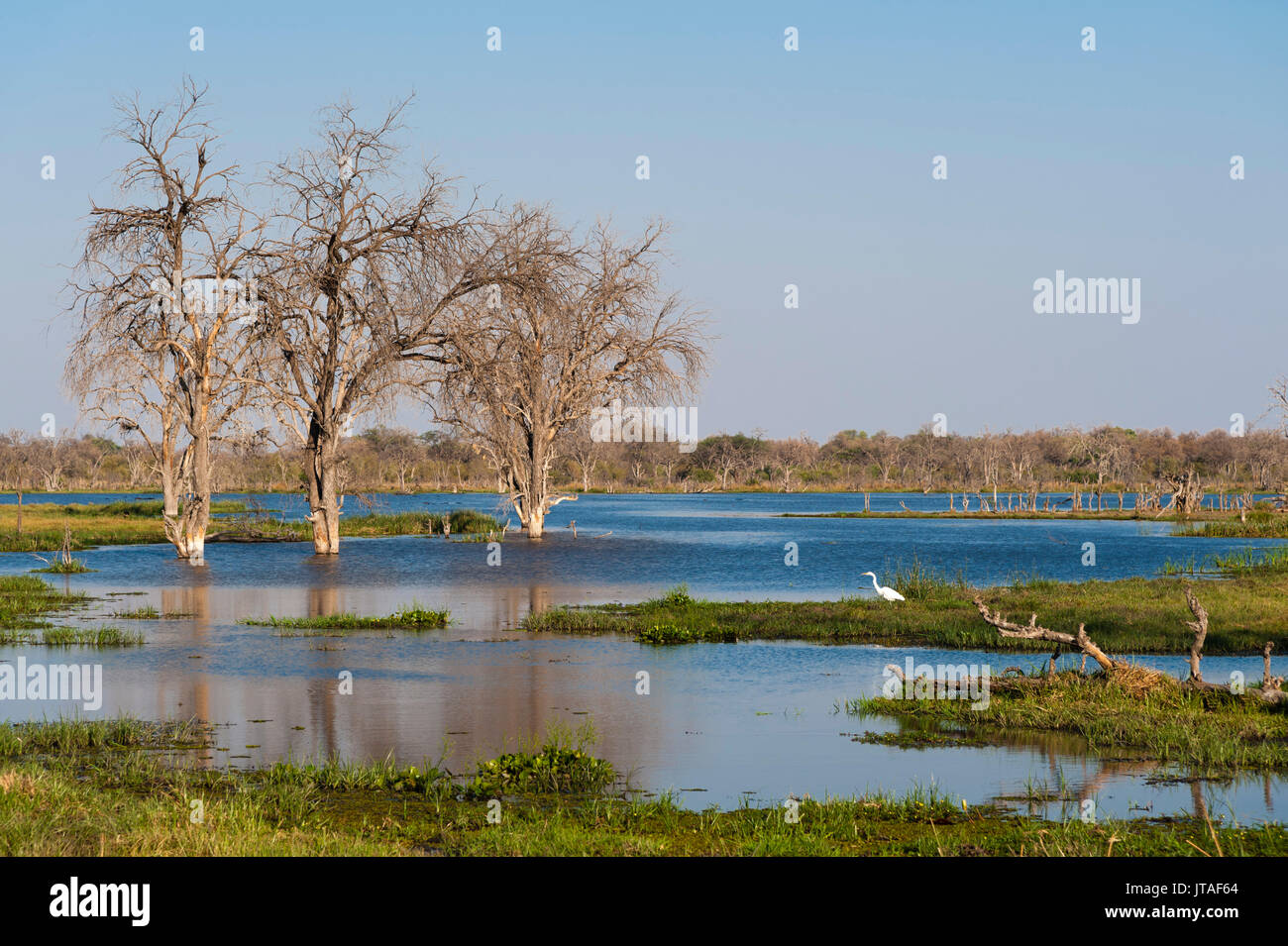 Botswana river hi-res stock photography and images - Alamy