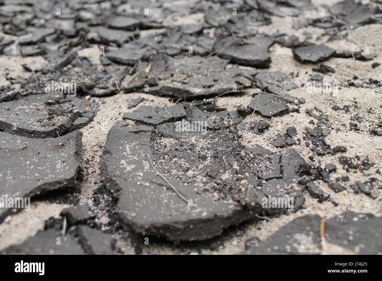 Patch of mud hi-res stock photography and images - Alamy