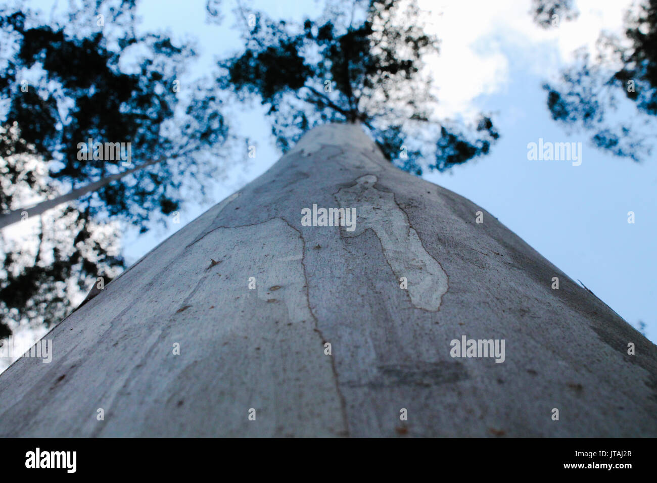 Parks recreation trunk environment hi-res stock photography and images ...