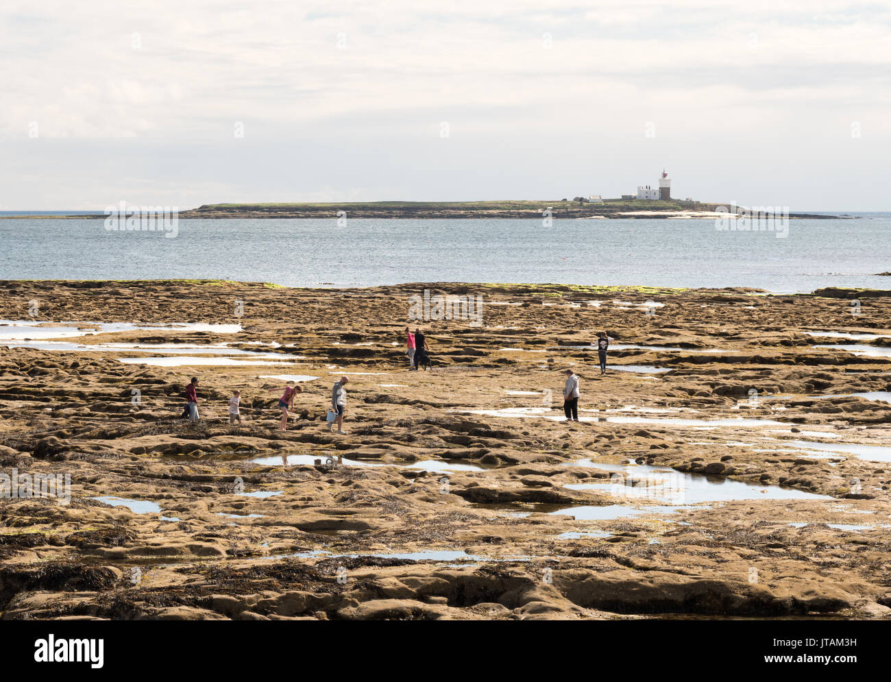 Coquet island hi-res stock photography and images - Alamy