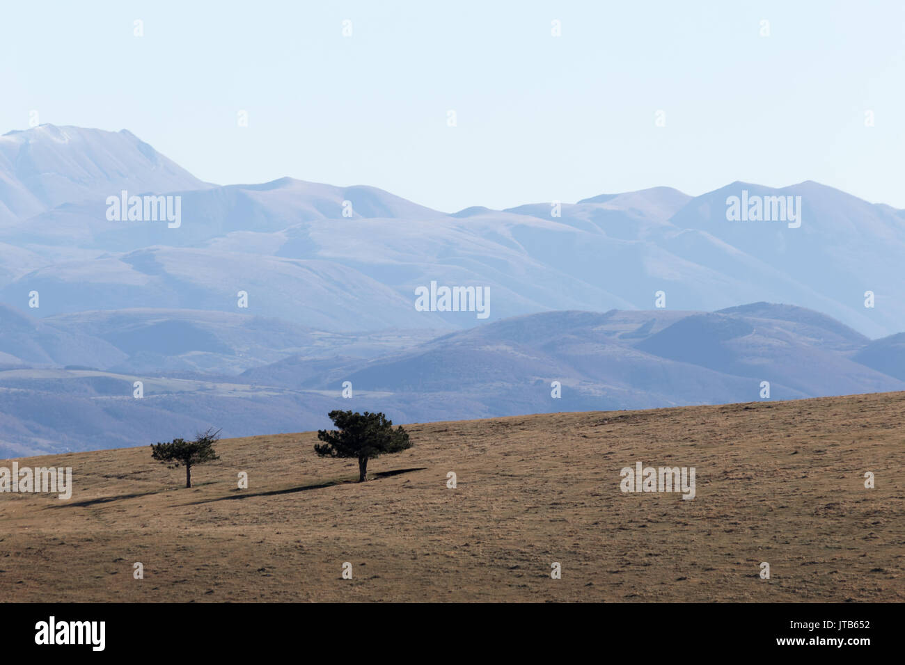 Tree isolated mountain hi-res stock photography and images - Alamy