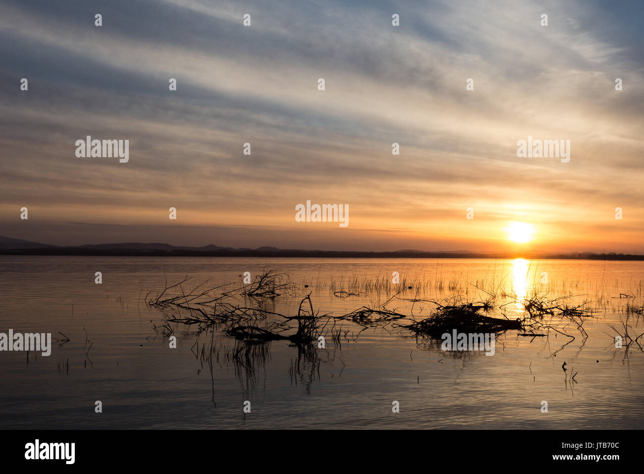 Lake at sunset, with trees and branches coming out of water, and a ...
