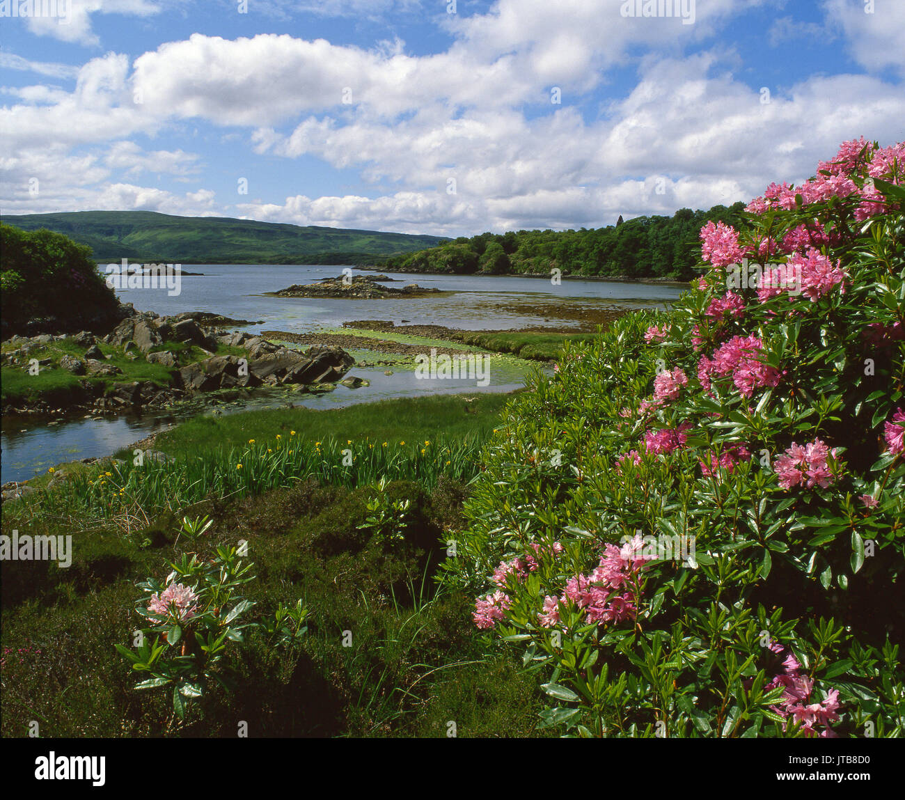 Salen Ardnamurchan High Resolution Stock Photography and Images - Alamy