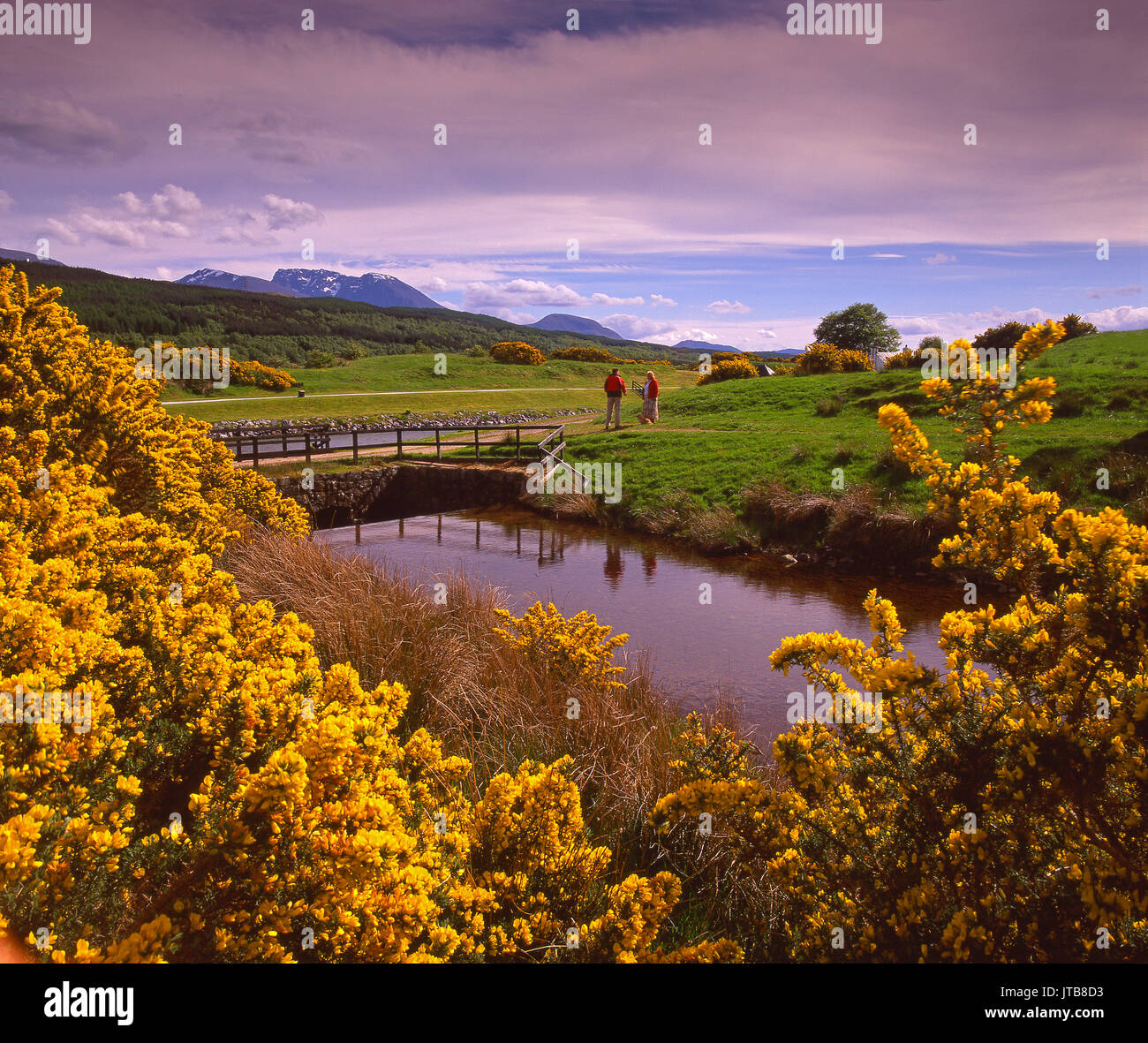Beautiful spring view towards Ben Nevis from Glen Albyn, Lochaber Stock ...