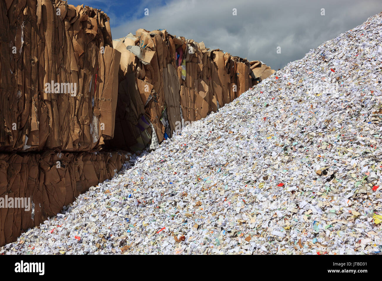 Waste paper, shredded waste paper in a recycling company, paper flakes ...