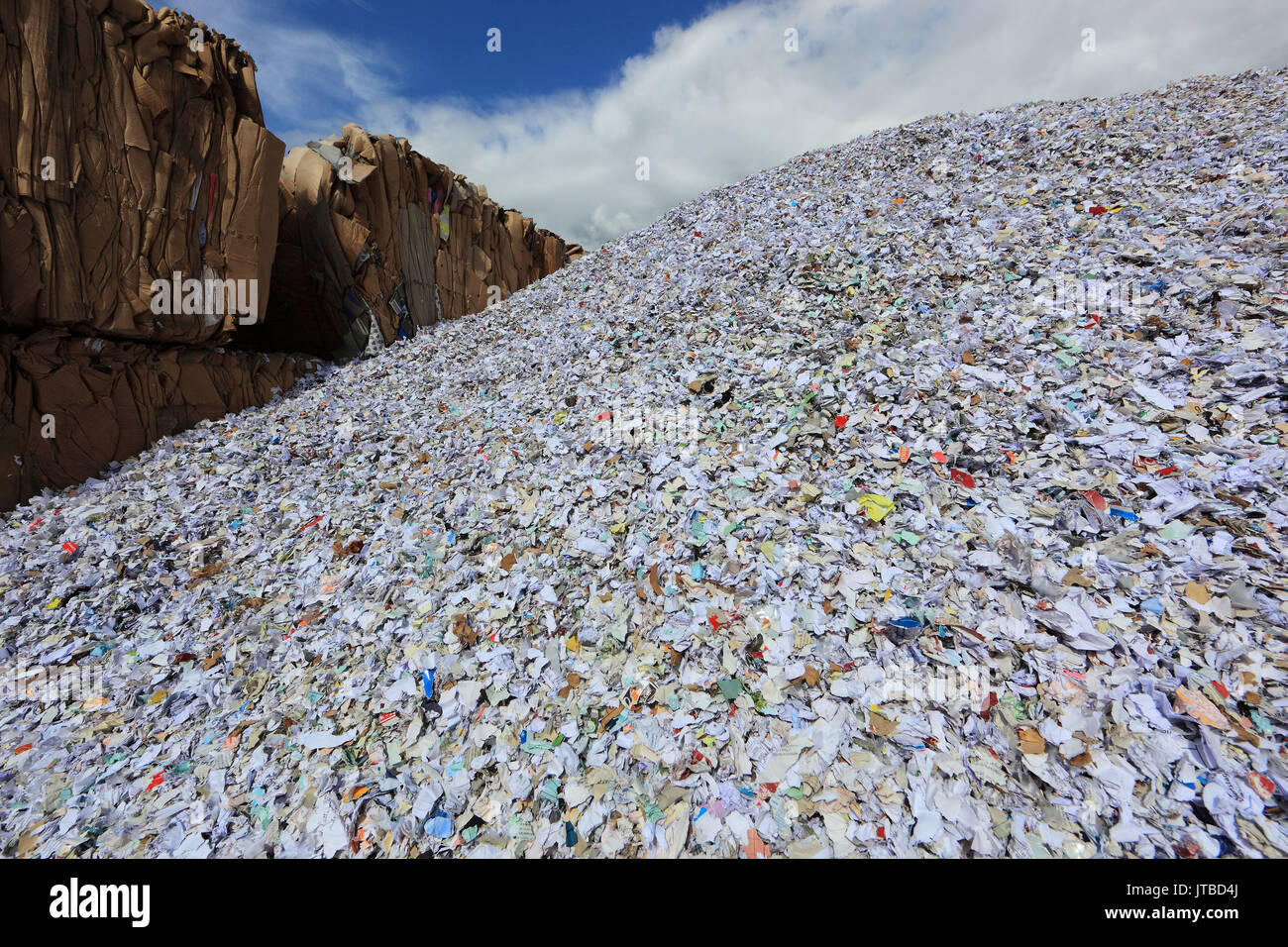 Waste paper, shredded waste paper in a recycling company, paper flakes ...