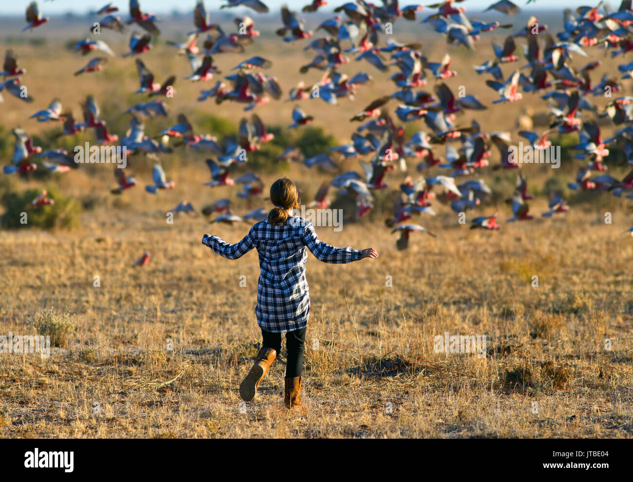 Being chased hi-res stock photography and images - Alamy