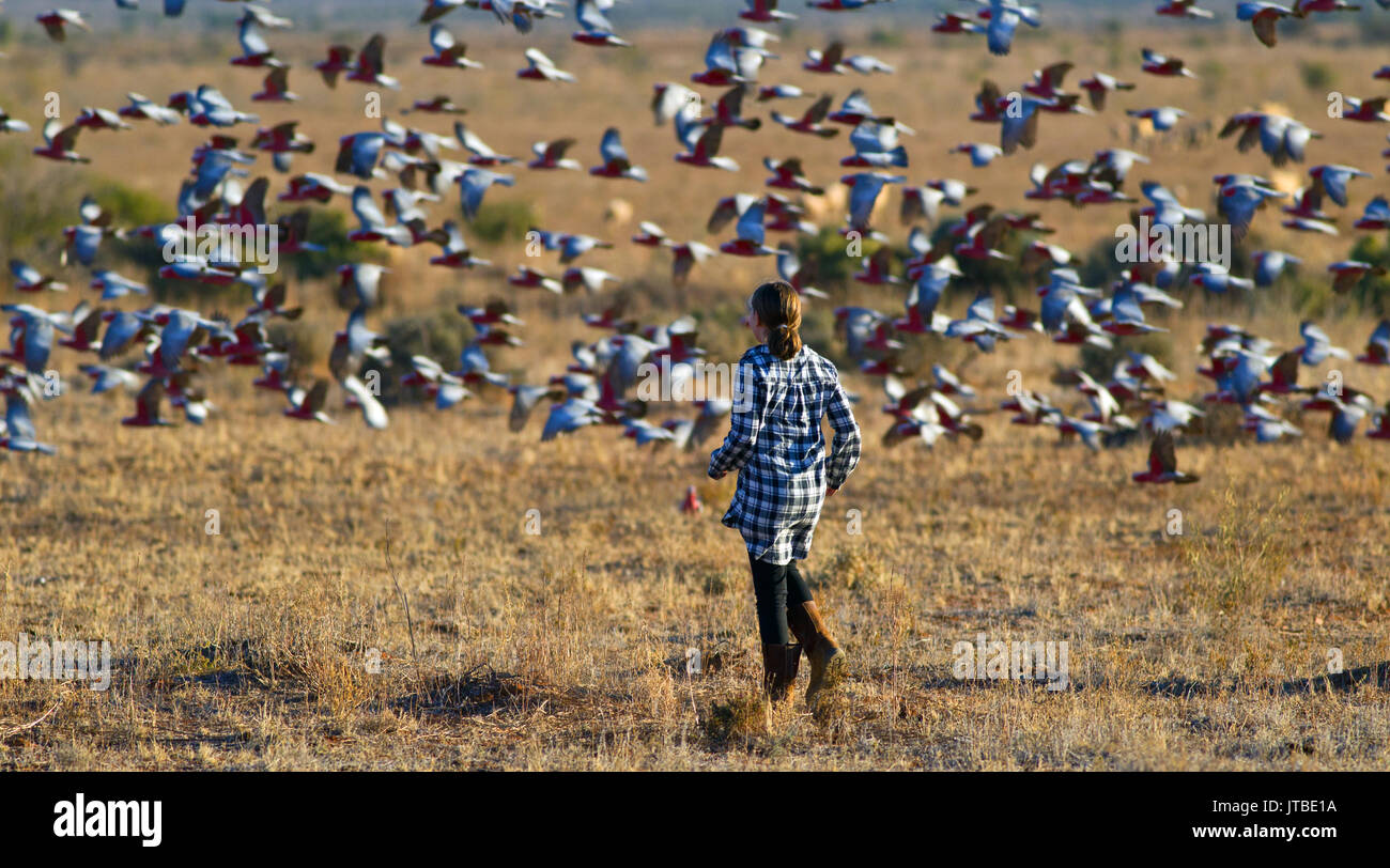Scaring off the birds hi-res stock photography and images - Alamy
