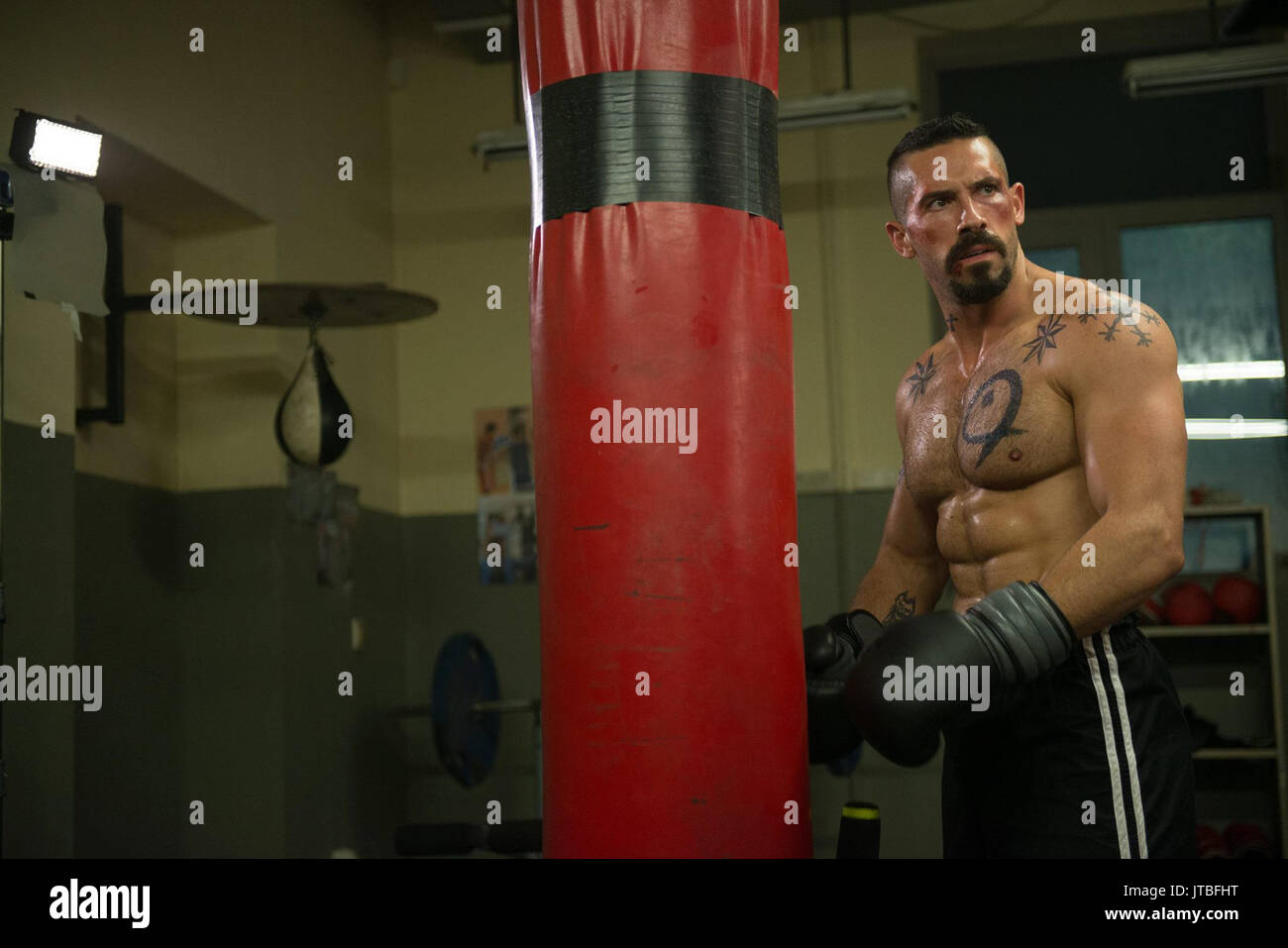 Boyka hi-res stock photography and images - Alamy