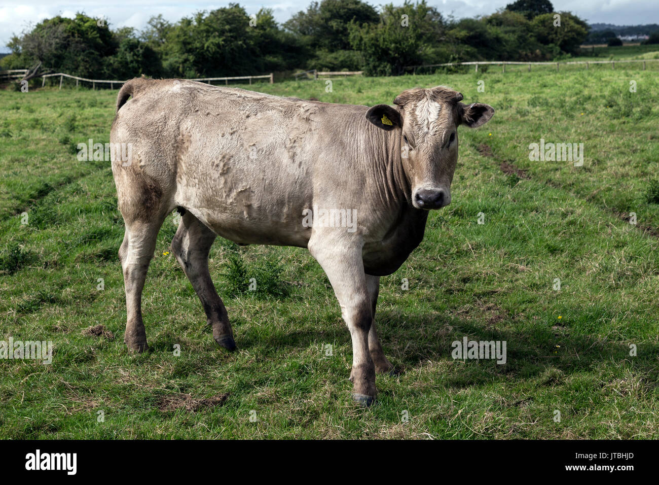 Cloud farm exmoor hi-res stock photography and images - Alamy