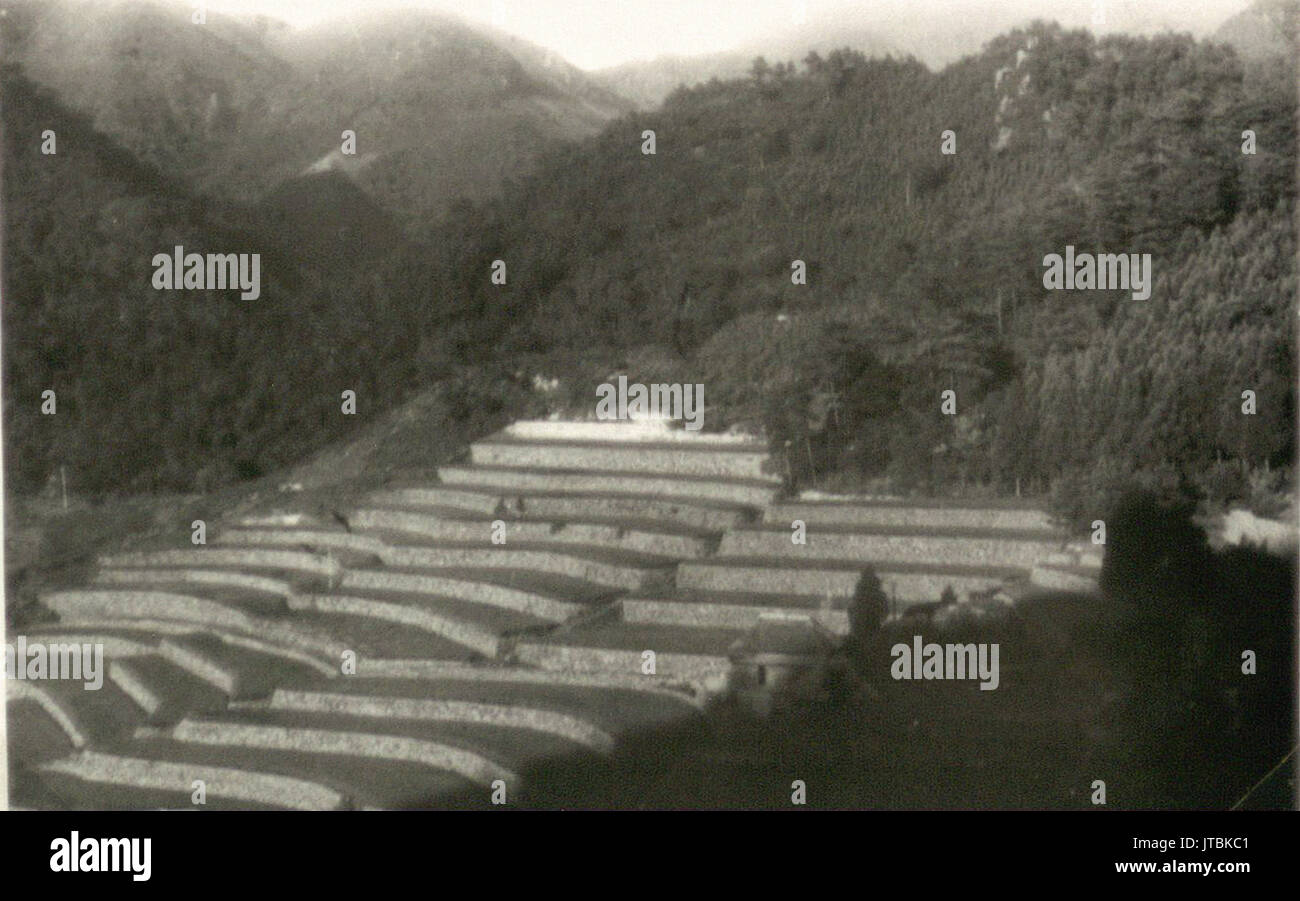 Farming Rice marks, Japan. 1935 Stock Photo - Alamy