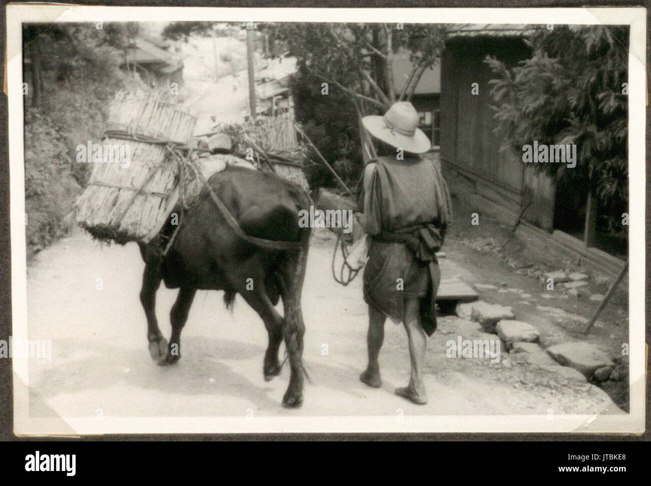 Ox japan art hi-res stock photography and images - Alamy
