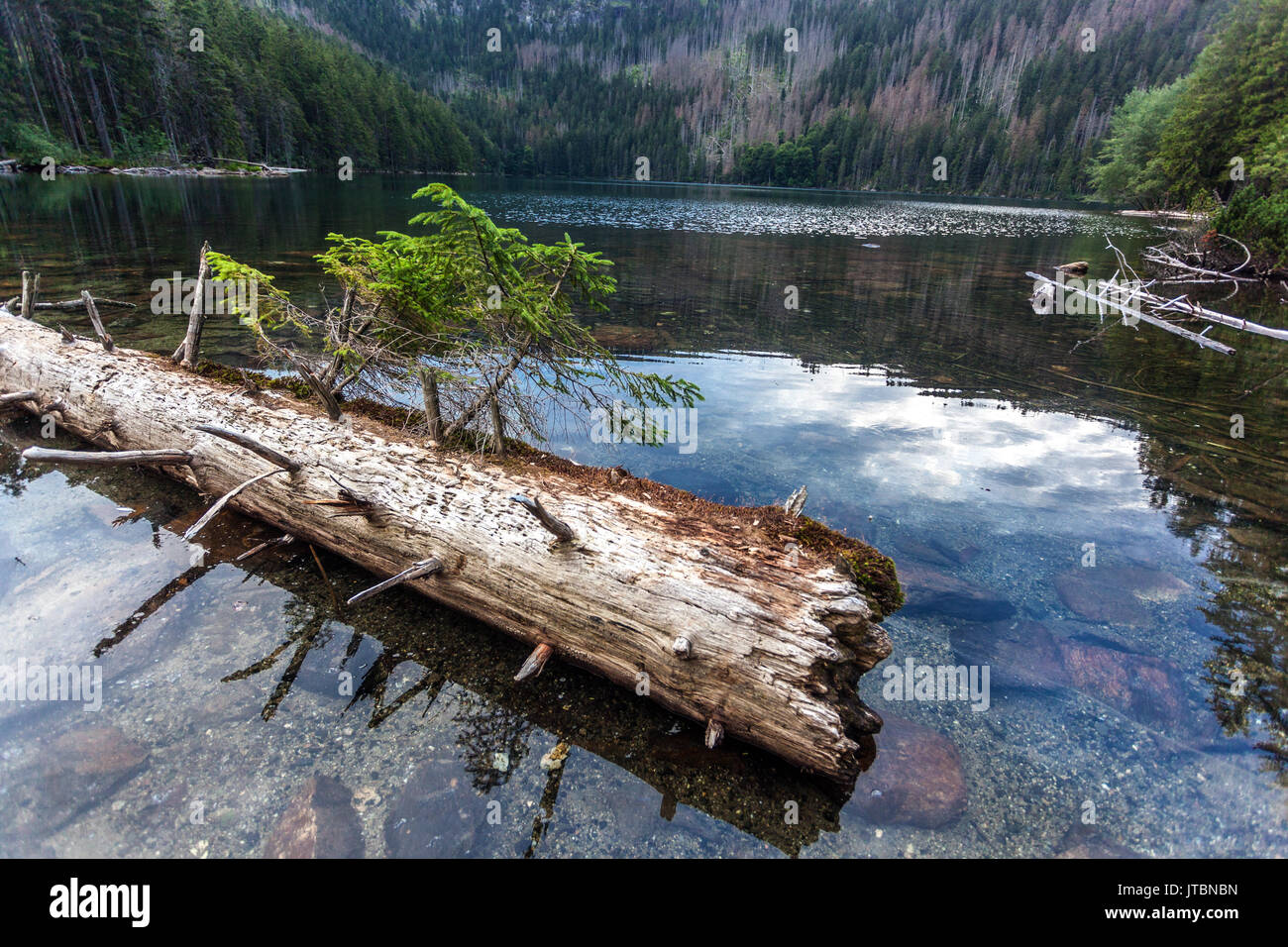 Sumava national park hi-res stock photography and images - Alamy