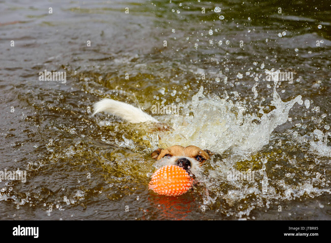 Keep your head above water jumping into deep Stock Photo - Alamy