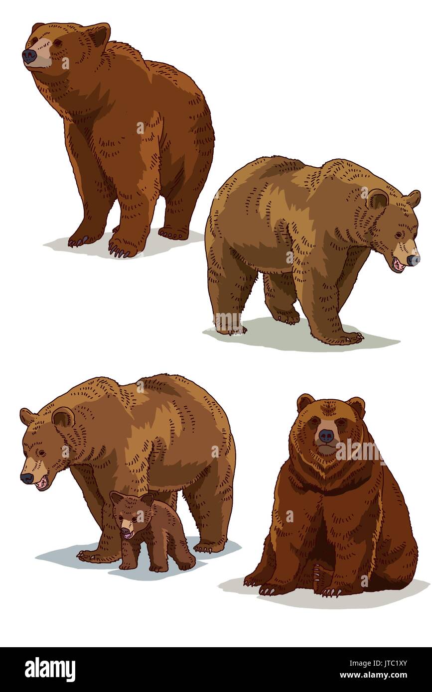 Hairy animals Stock Vector Images - Alamy