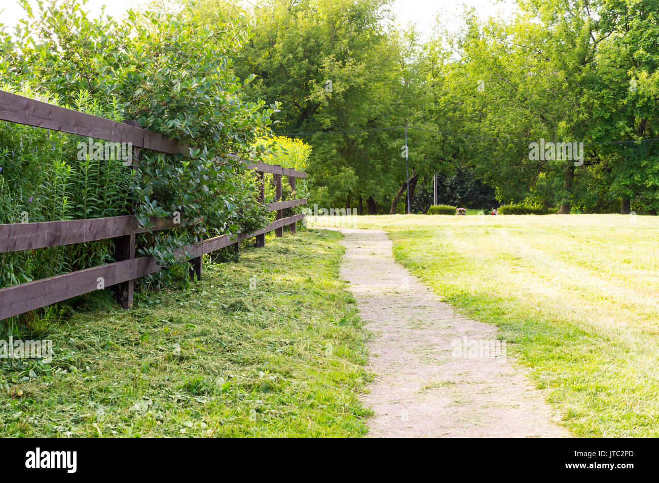 country road with wooden fence. background, travel, nature Stock Photo ...