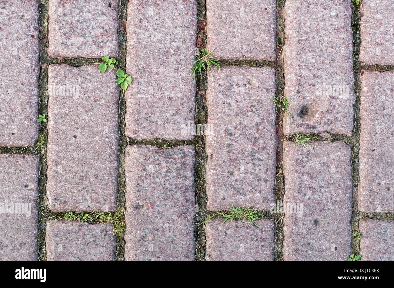 Brick footpath background hi-res stock photography and images - Alamy
