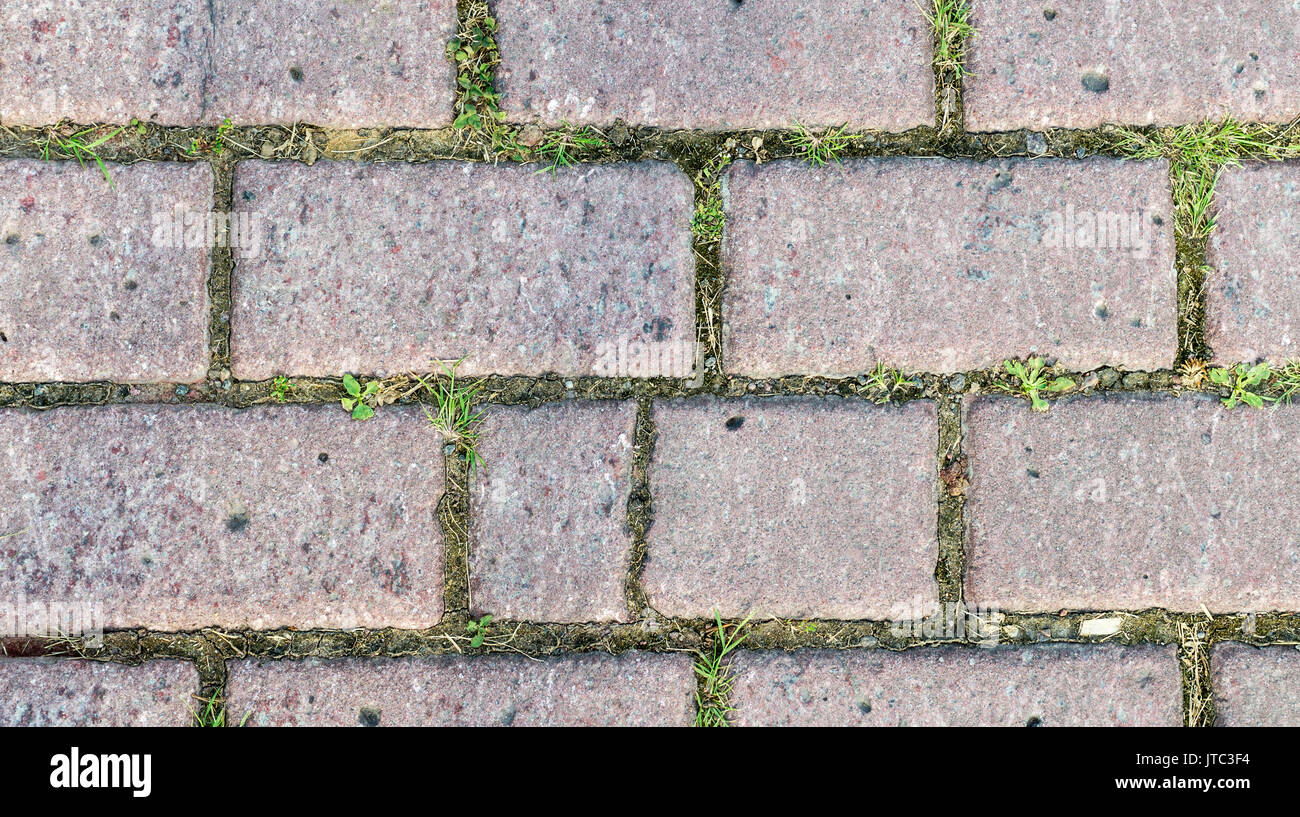 brick sidewalk pavement with grass in the park. background, texture ...