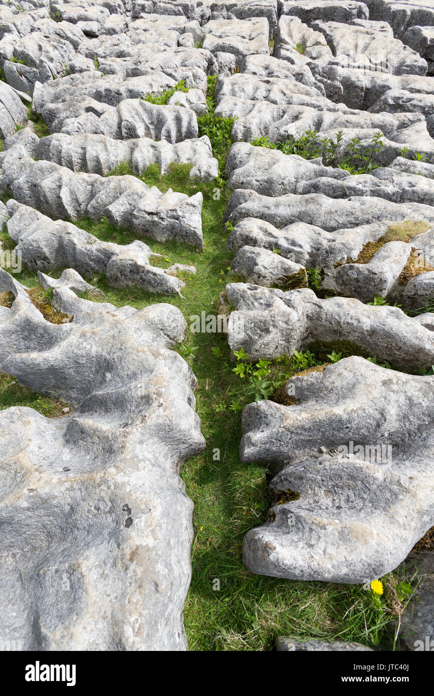 Carboniferous limestone pavement hi-res stock photography and images ...