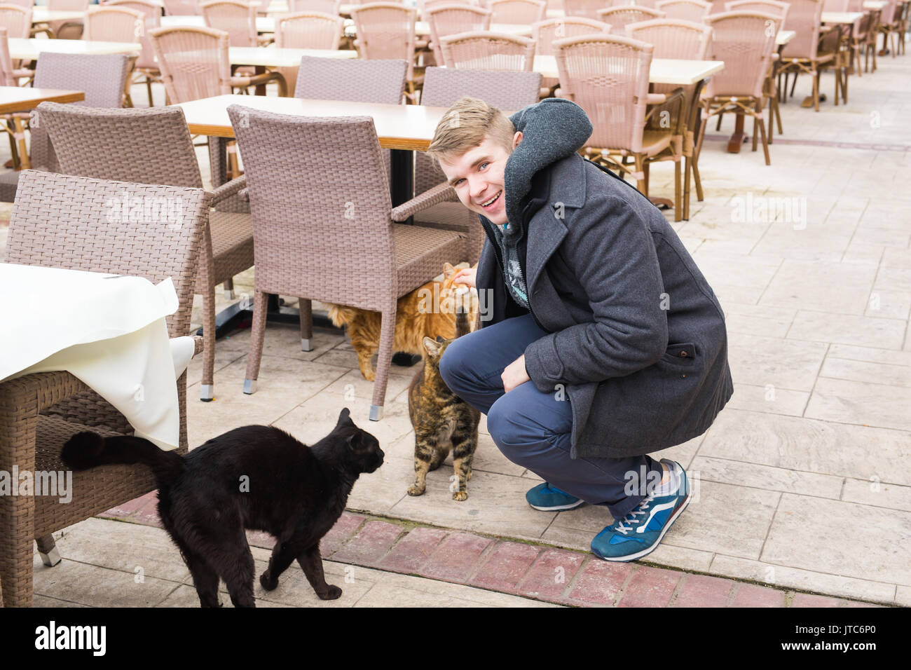 Homeless cat, pet and animals concept - Man caress street cats Stock ...