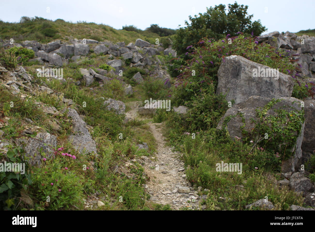 Sculptures at Portland Quarry, home to Portland limestone Stock Photo ...