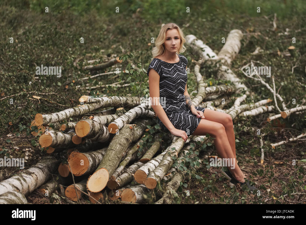 photo of beautiful girl in the felled forest Stock Photo - Alamy