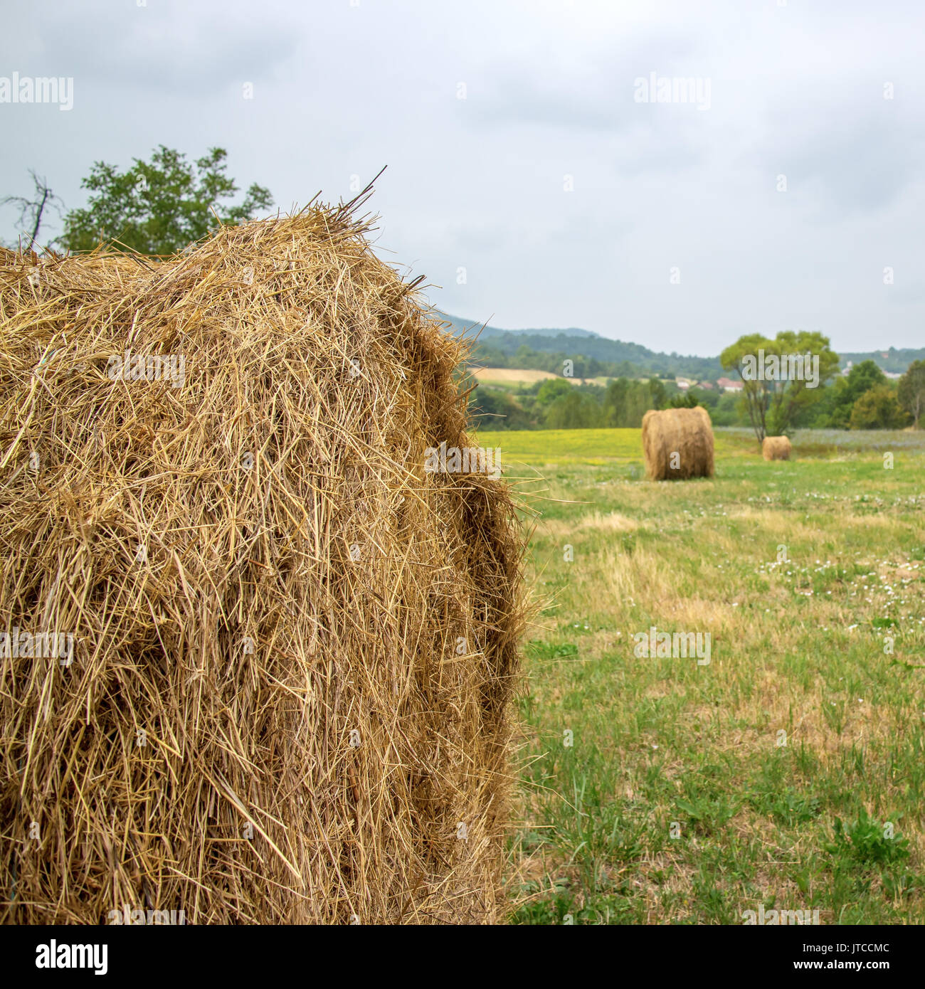 Bale production hi-res stock photography and images - Alamy
