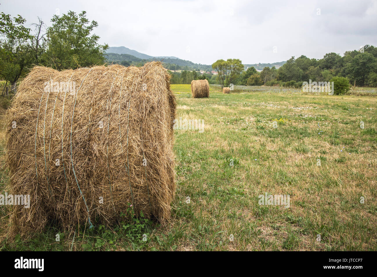 Bale production hi-res stock photography and images - Alamy