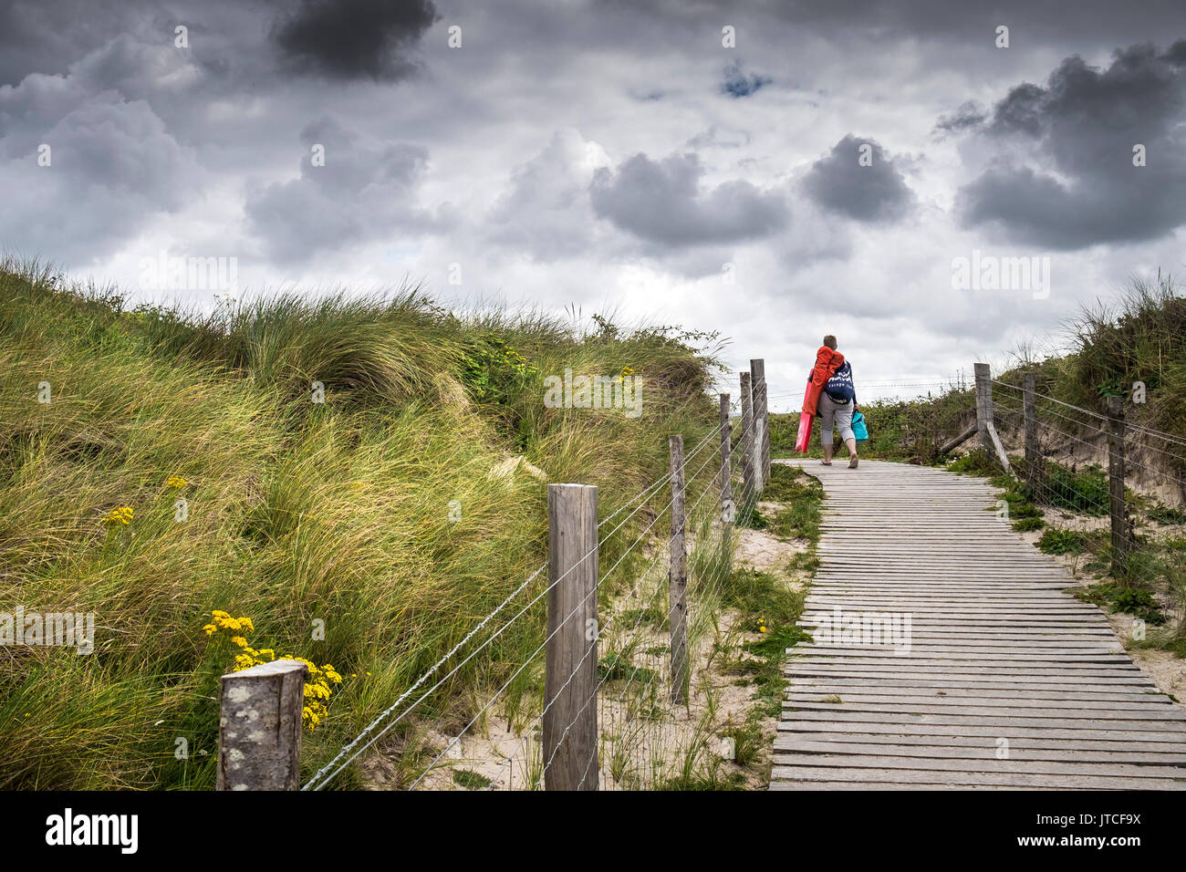 A holidaymaker walking on a footpath running through sand dunes covered ...