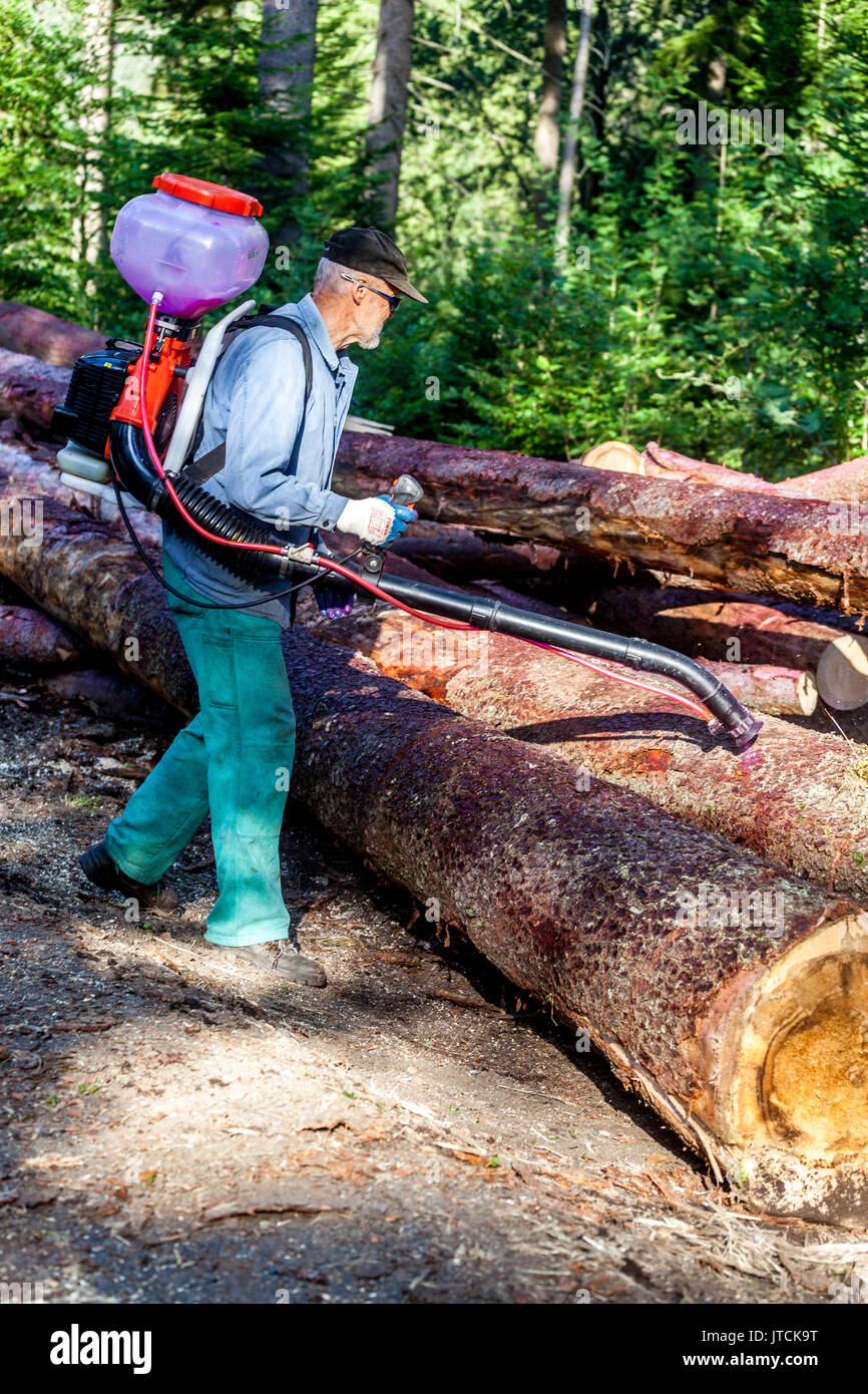 Spraying with chemical hi-res stock photography and images - Alamy
