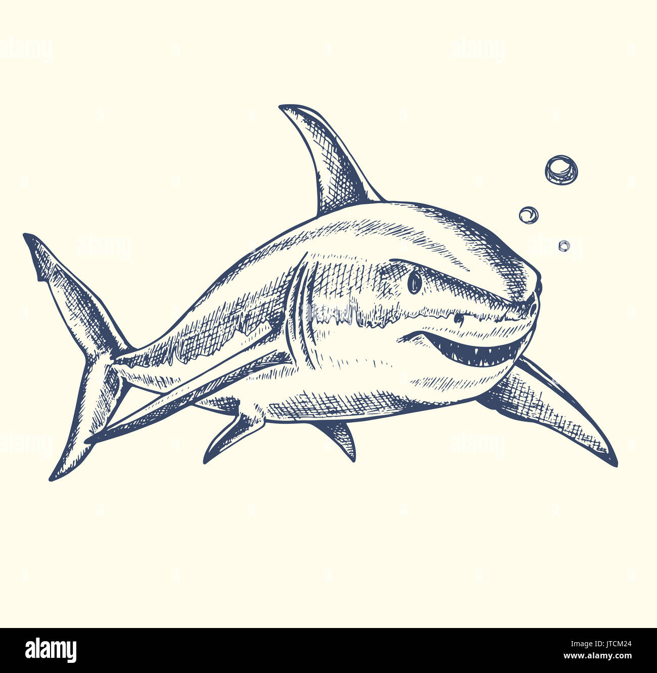 Hand drawn toothy shark swimming in the water Stock Photo - Alamy