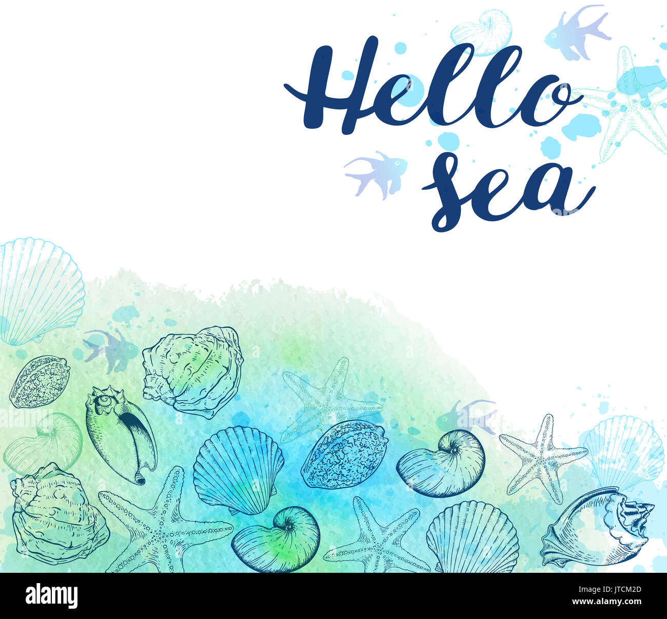 Marine background with hand drawn sea shells and blue watercolor ...