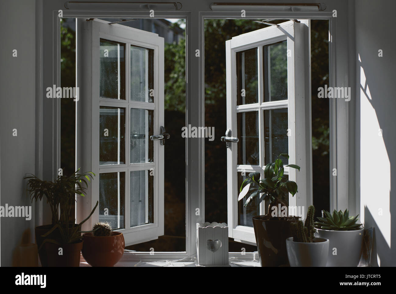 View of trees out of old window hi-res stock photography and images - Alamy