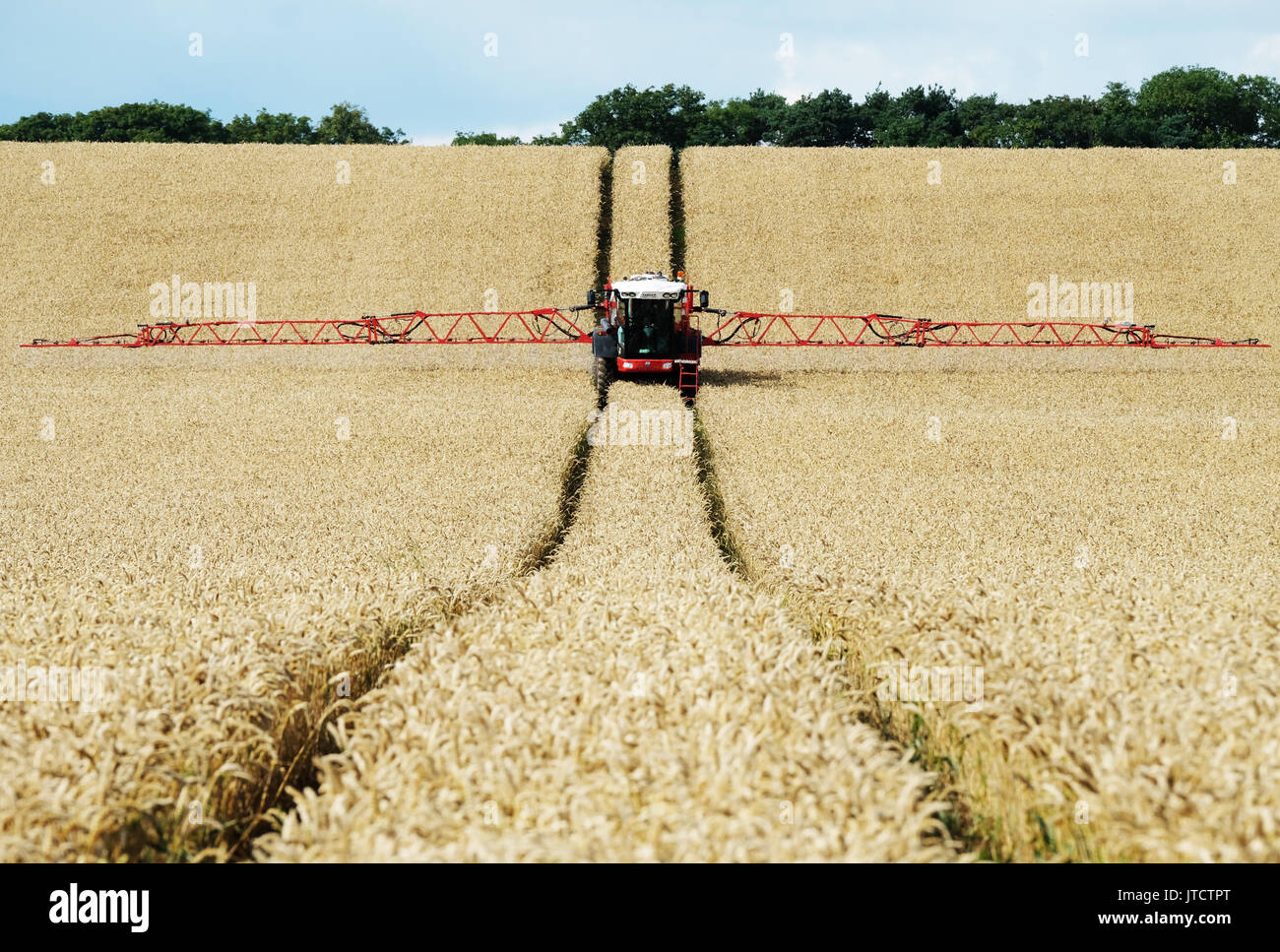 A crop spraying machine spraying a wheat field in West Lothian ...