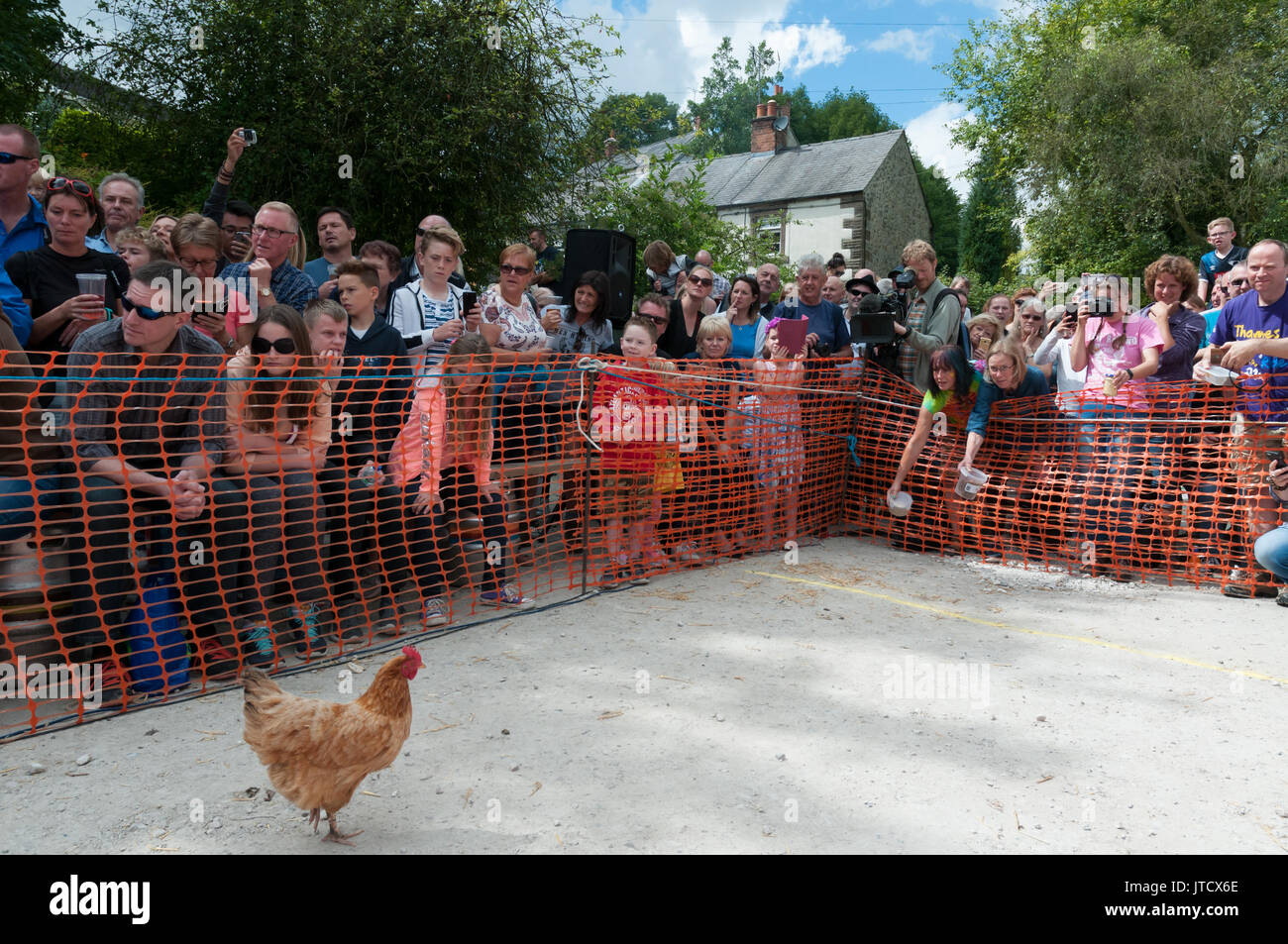 World championship hen racing hi-res stock photography and images - Alamy
