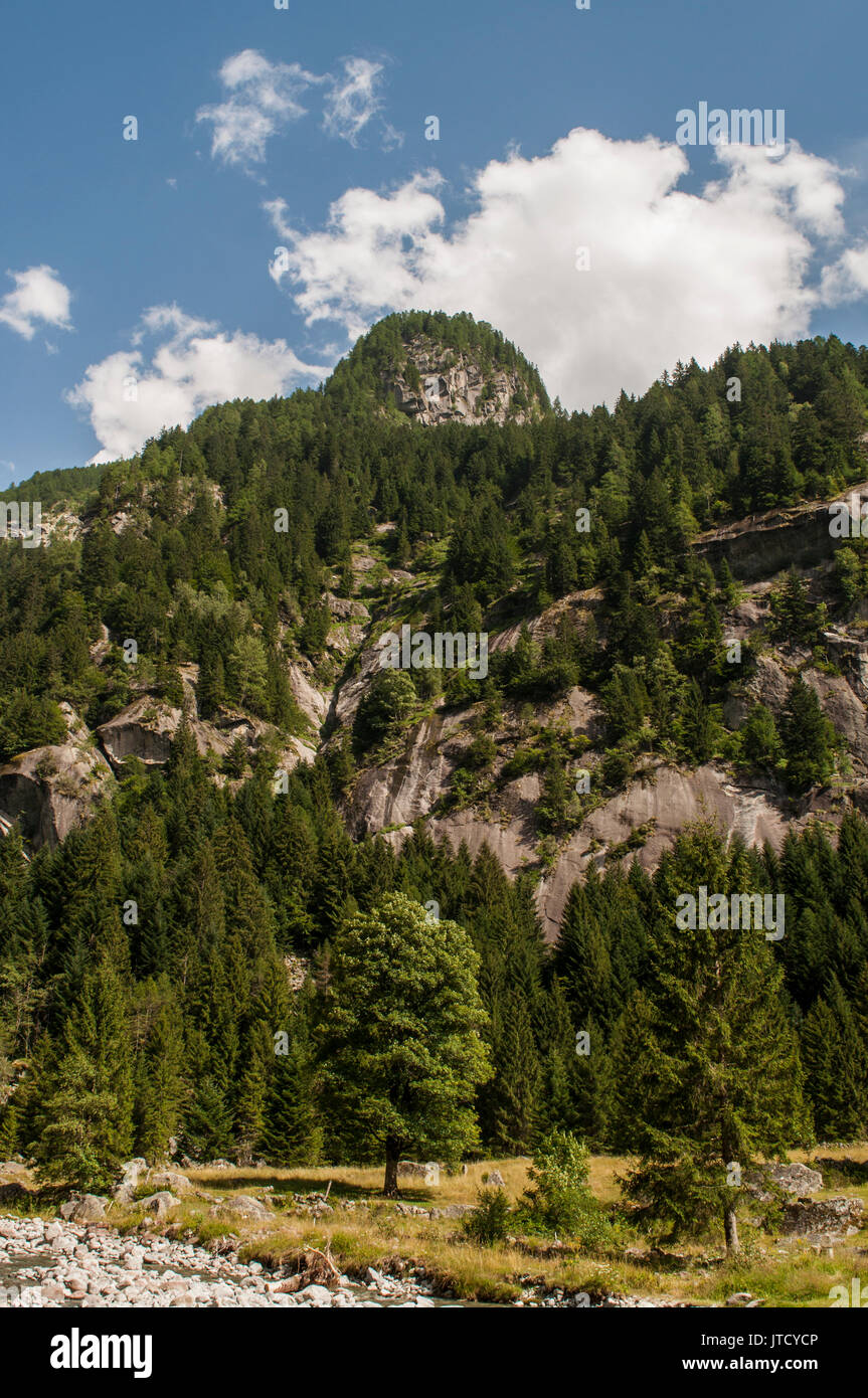 View of the Mello Valley, Val di Mello, a green valley surrounded by ...
