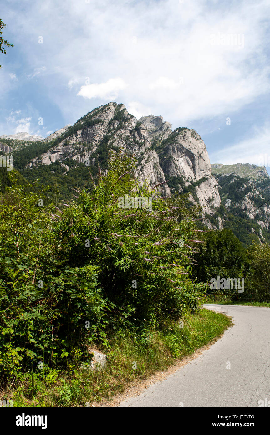 View of the Mello Valley, Val di Mello, a green valley surrounded by ...