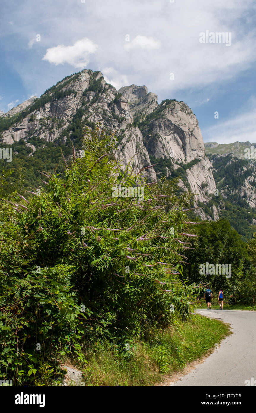 View of the Mello Valley, Val di Mello, a green valley surrounded by ...