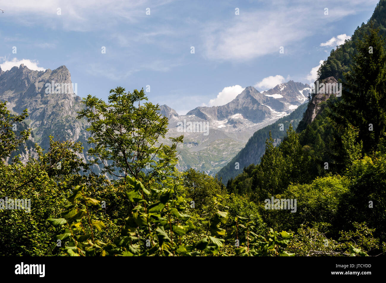 View of the Mello Valley, Val di Mello, a green valley surrounded by ...