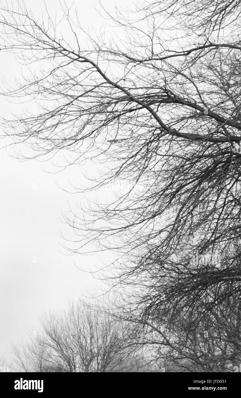 Text love autumn in Black and White Stock Photos & Images - Alamy