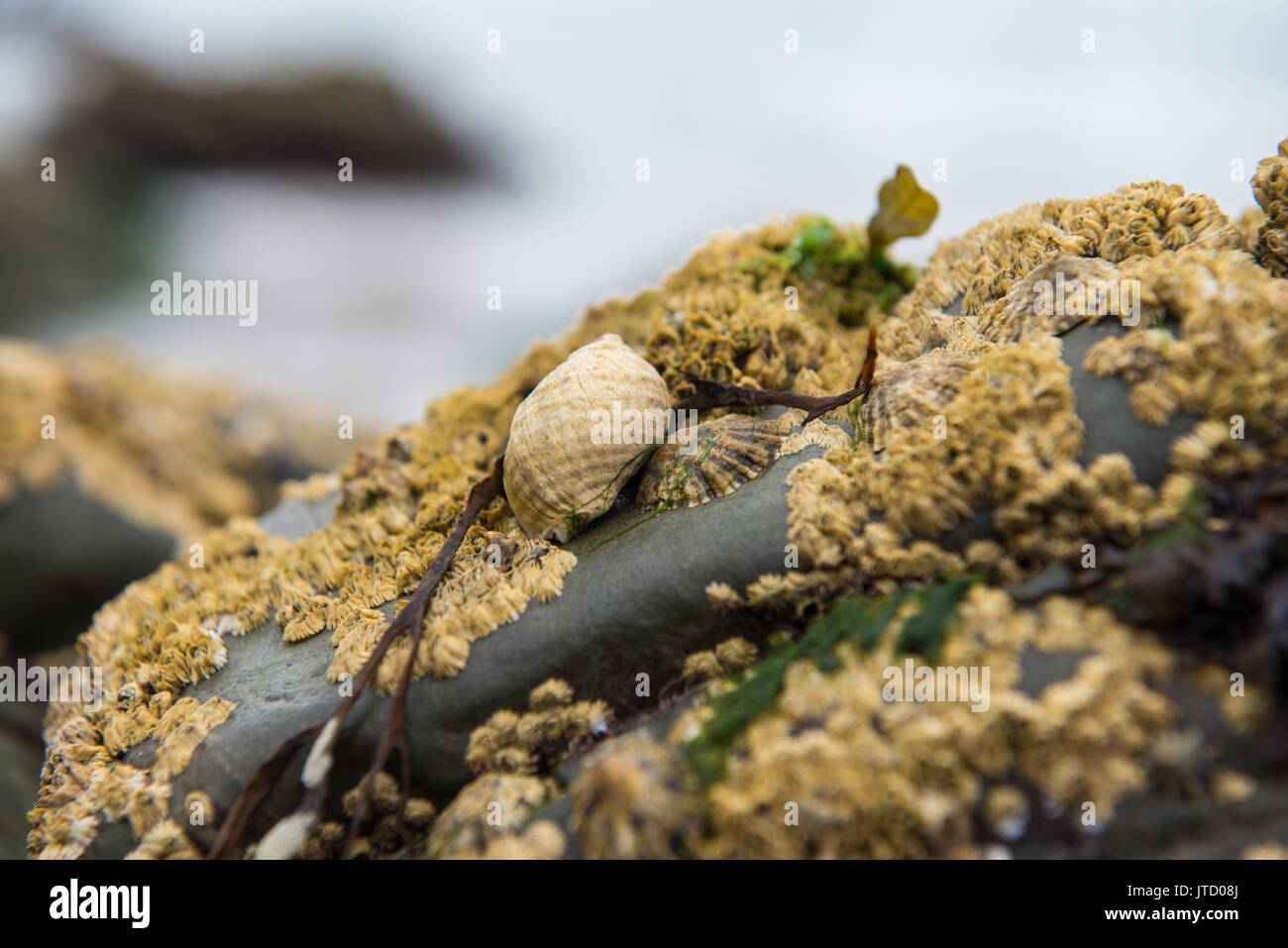 Cling on hi-res stock photography and images - Alamy