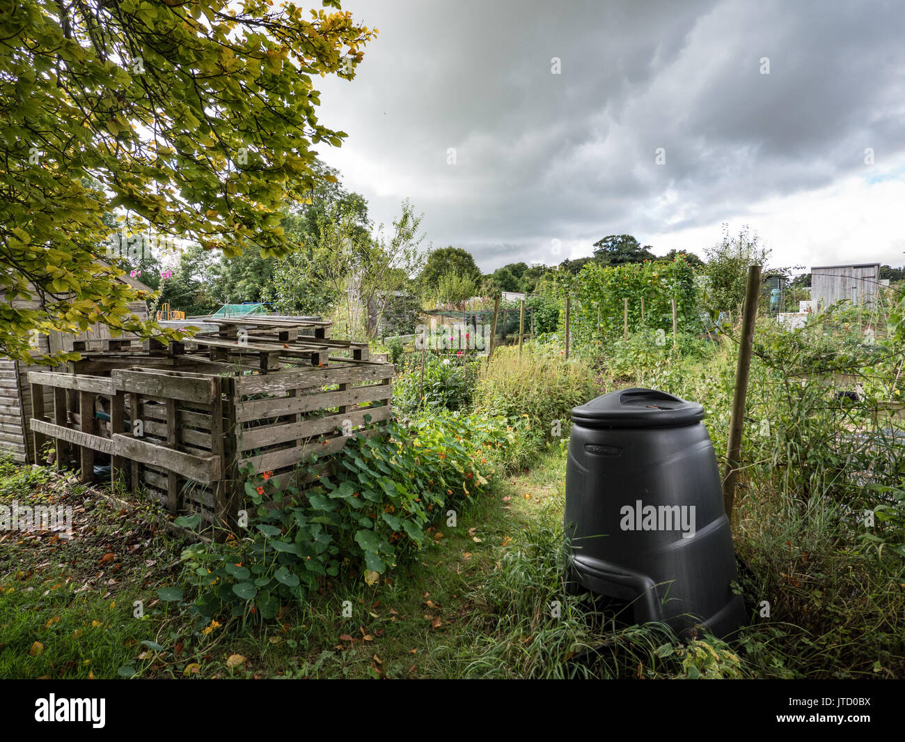 Allotment summer compost bin hi-res stock photography and images - Alamy
