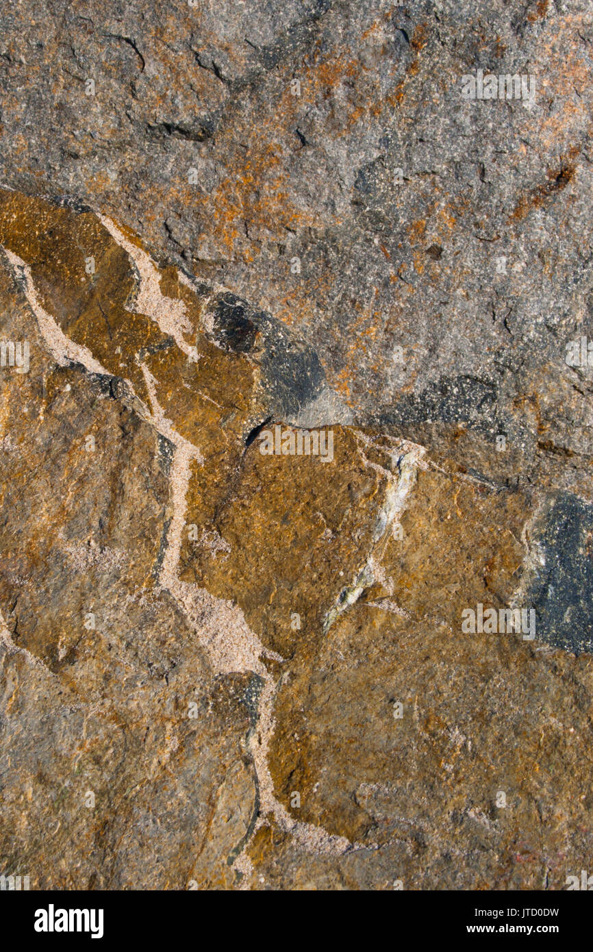 Rock groups hi-res stock photography and images - Alamy